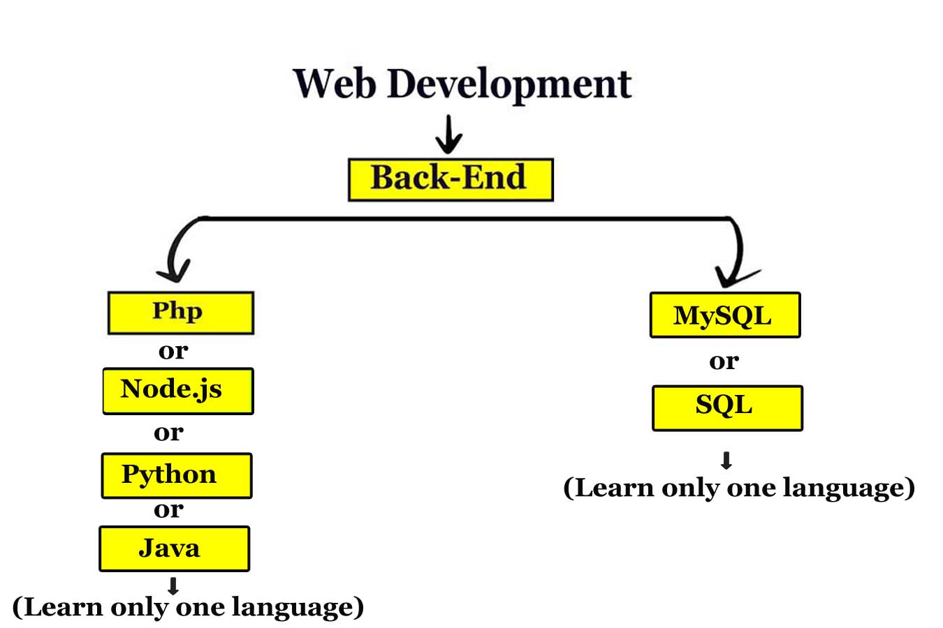 My School House | myschoolhouse Learn Web Development